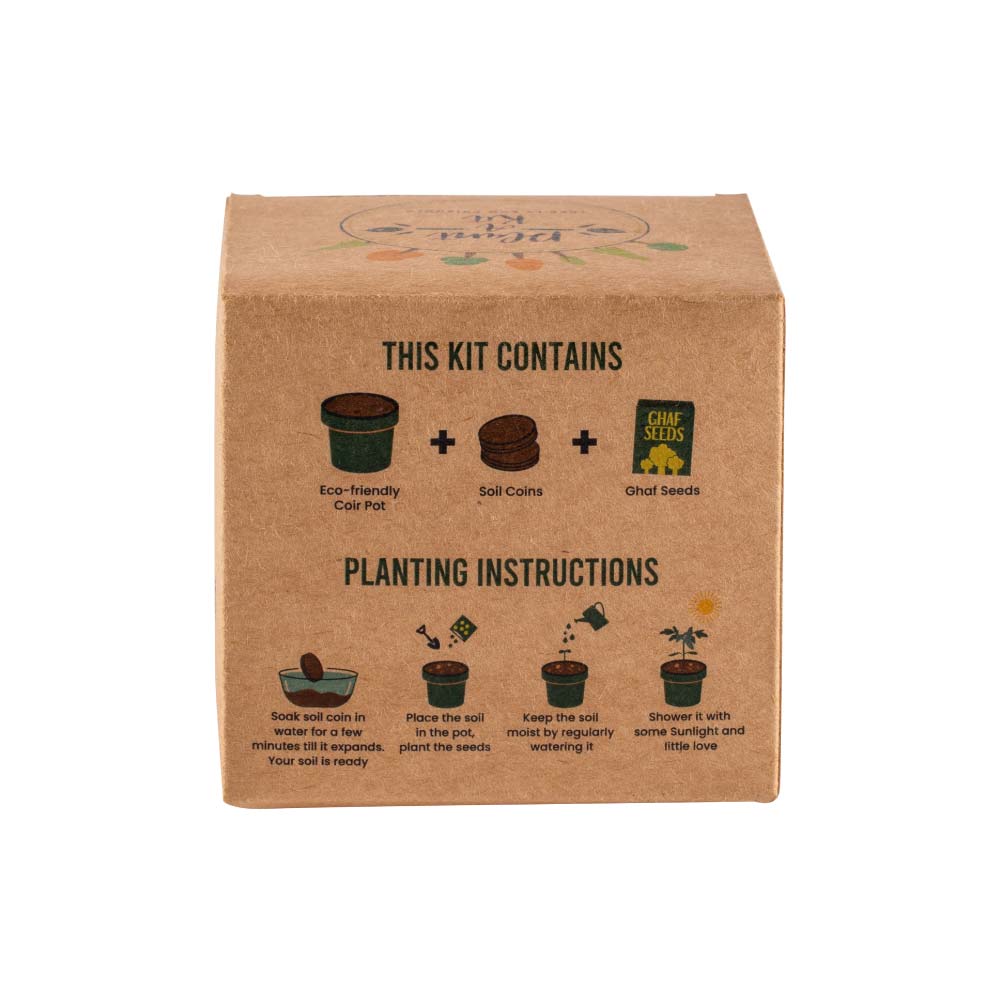 Plantable Kit with GHAF Seeds in Kraft Box | Tezkargift