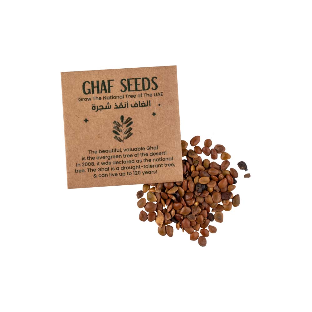 Plantable Kit with GHAF Seeds in Kraft Box | Tezkargift