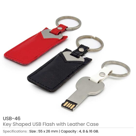 8GB Key Shaped USB with Leather Case - Promotional Gift Preparing LLC